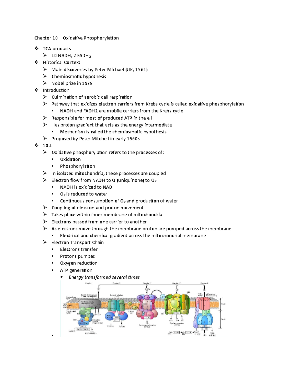 Chapter 10 - Lecture notes 10 - Chapter 10 Oxidative Phosphorylation ...