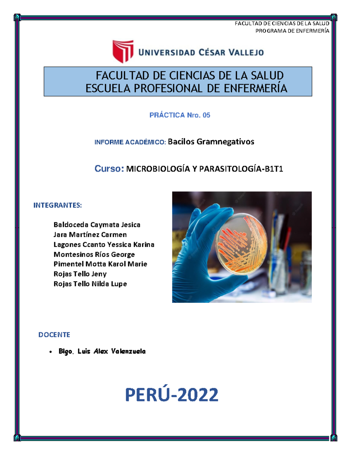 Microbiologia+P7+G9 - ucv - PROGRAMA DE ENFERMERÕA PRÁCTICA Nro. 05 INFORME ACADÉMICO: Bacilos ...