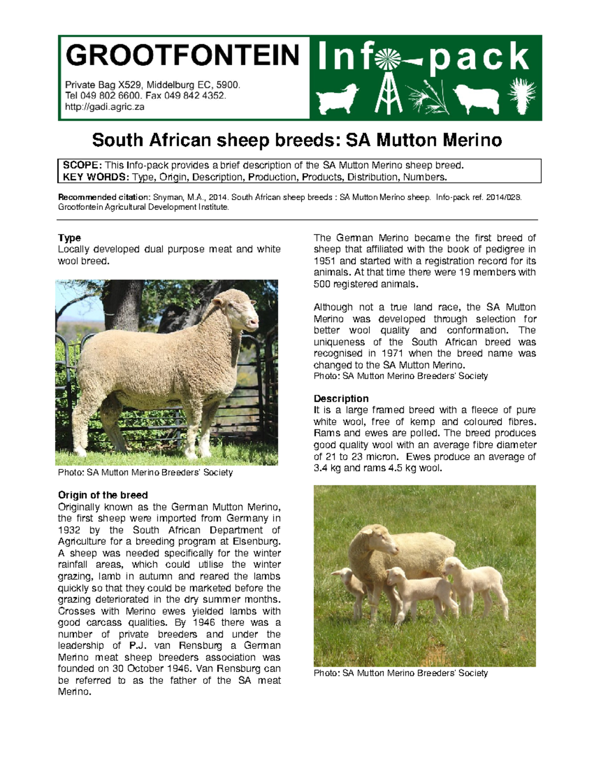 2014 028 South African Sheep breeds - SA Mutton Merino - Copy - South ...