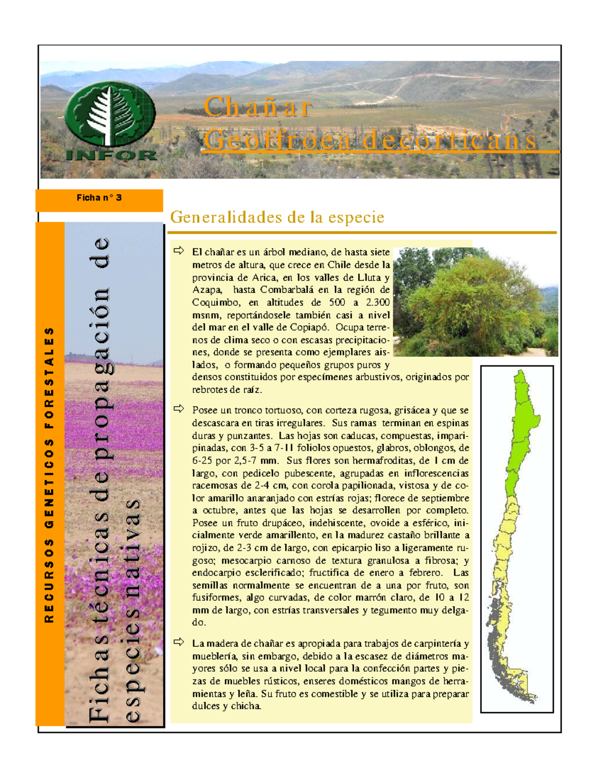 Ficha Chanar Metodo de propagacion - ChañarChañar Geoffroea ...