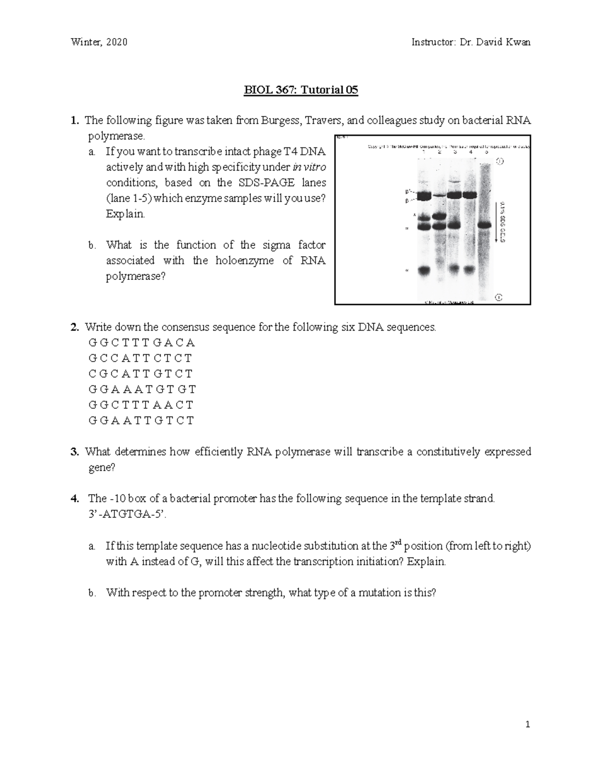 BIOL 367 Tutorial 05 - Winter, 2020 Instructor: Dr. David Kwan 1 BIOL ...