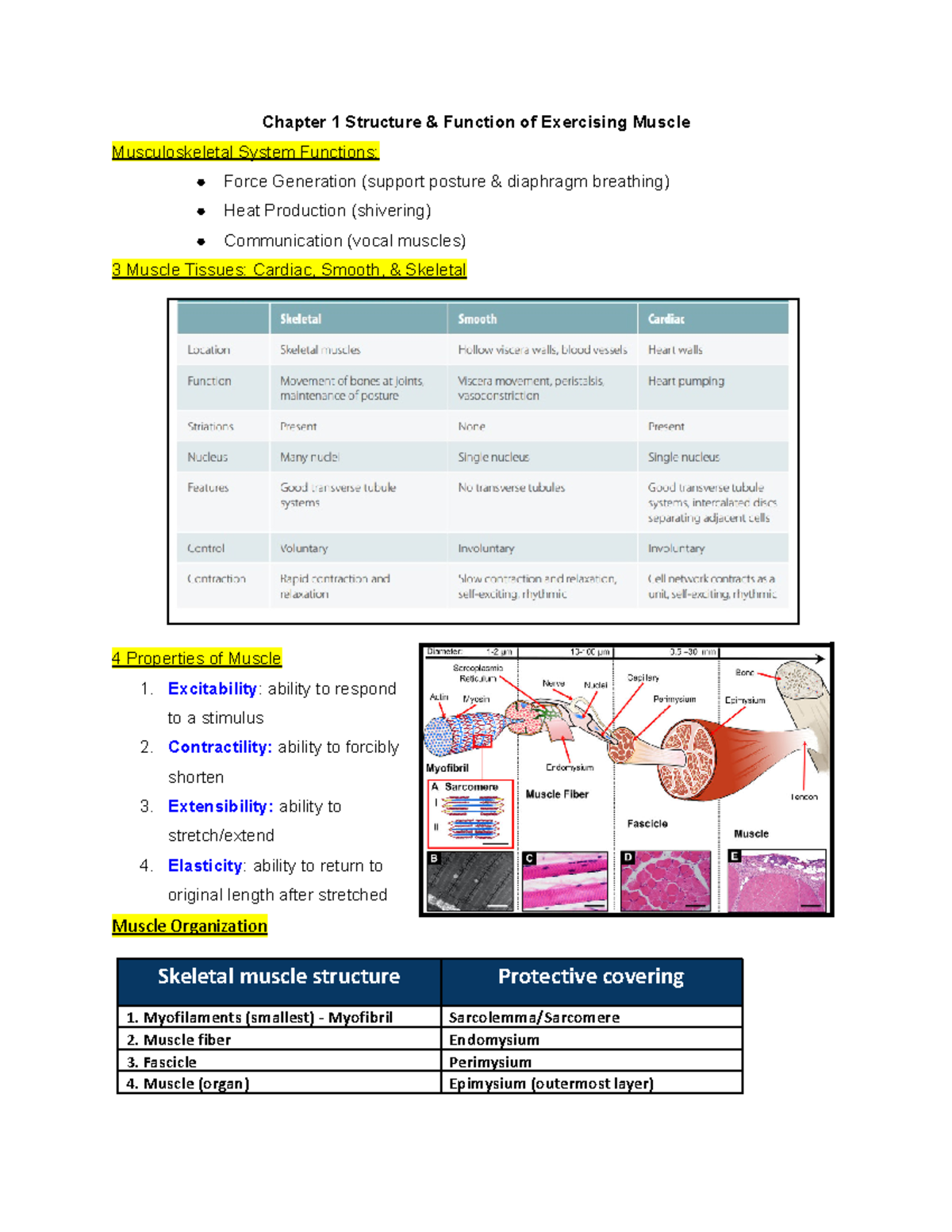 KINE 3800 CH.1 - Summary of lecture content ch. 1 - Chapter 1 Structure ...