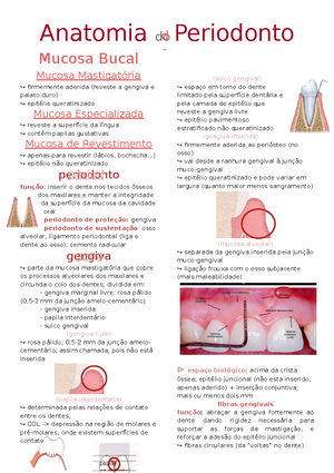 Periodontia - Anatomia e histologia do Periodonto - Warning: TT: undefined function: 32 ...