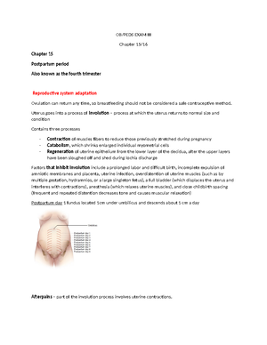 Chelsea Hebert - Pediatric Concept Map, Nurses Notes, and Self ...