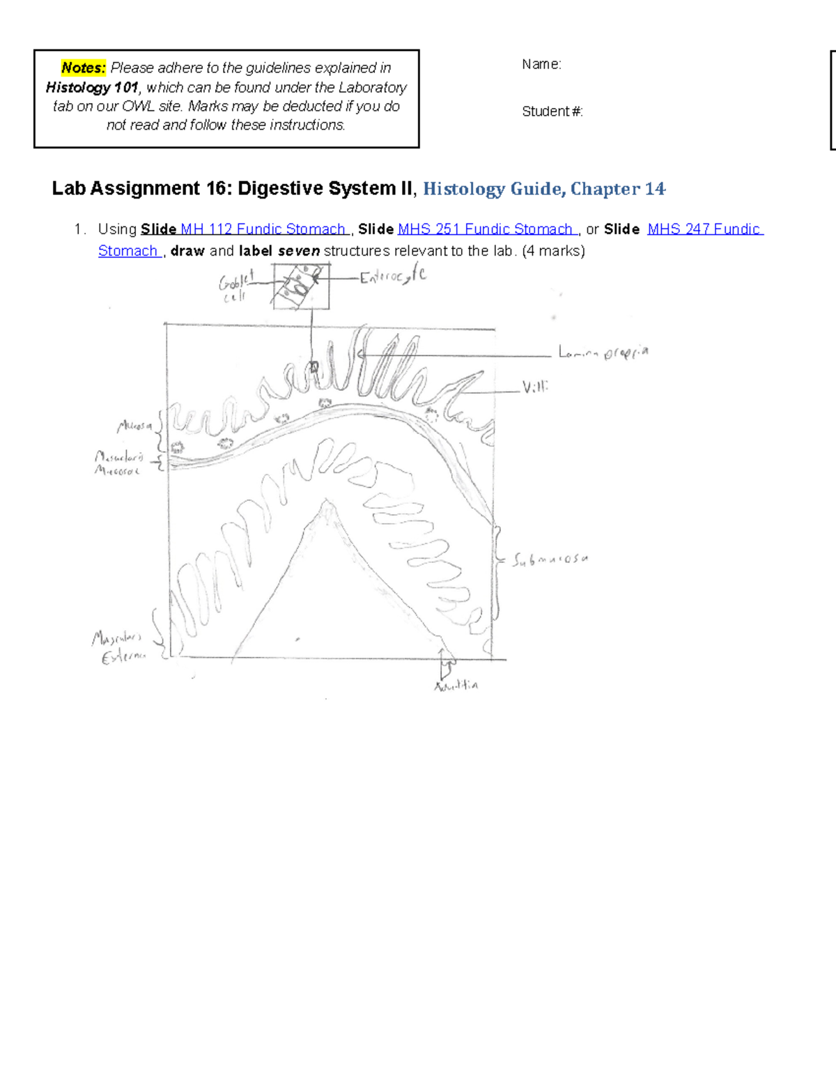Lab 16 assignment FW2021 - student - Lab Assignment 16: Digestive ...