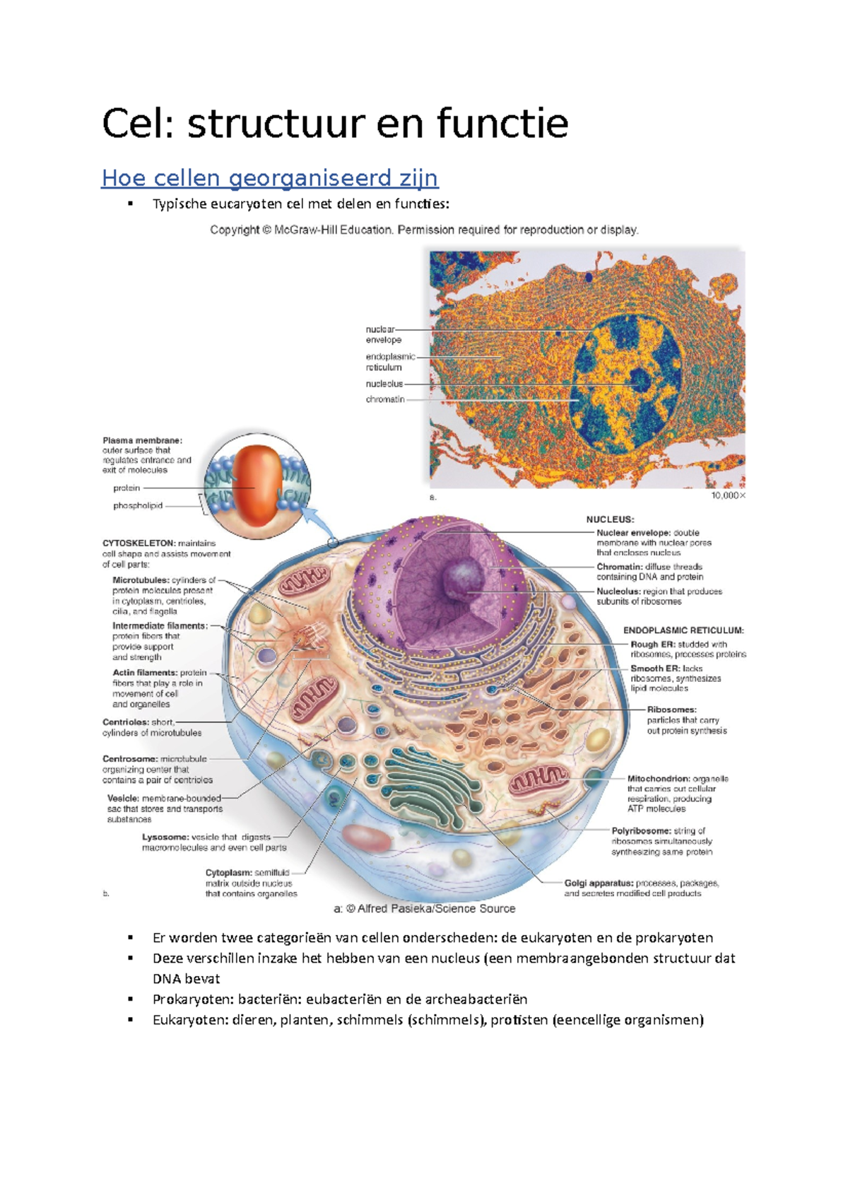 H3 cel structuur en functie - Cel: structuur en functie Hoe cellen ...