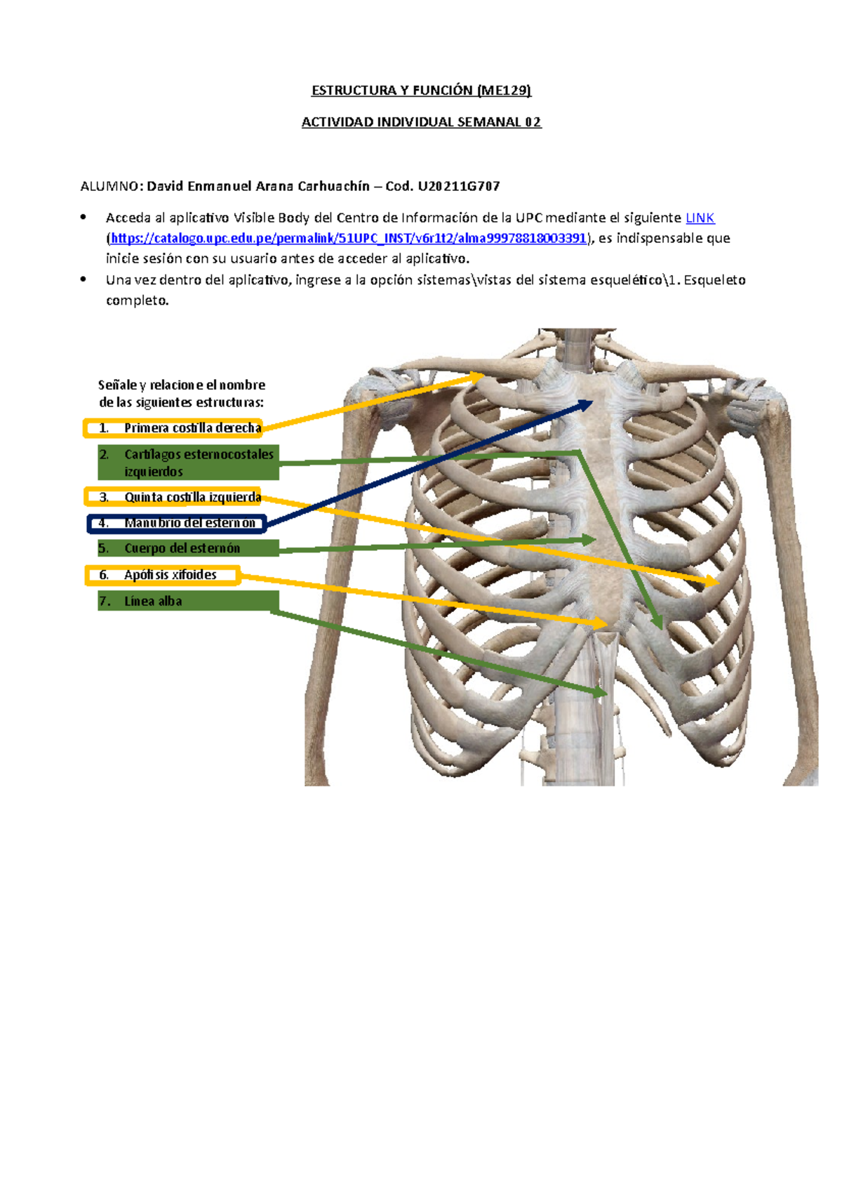 ME129 Ey F Tarea Sem02 - Estructura y Función - UPC - Studocu