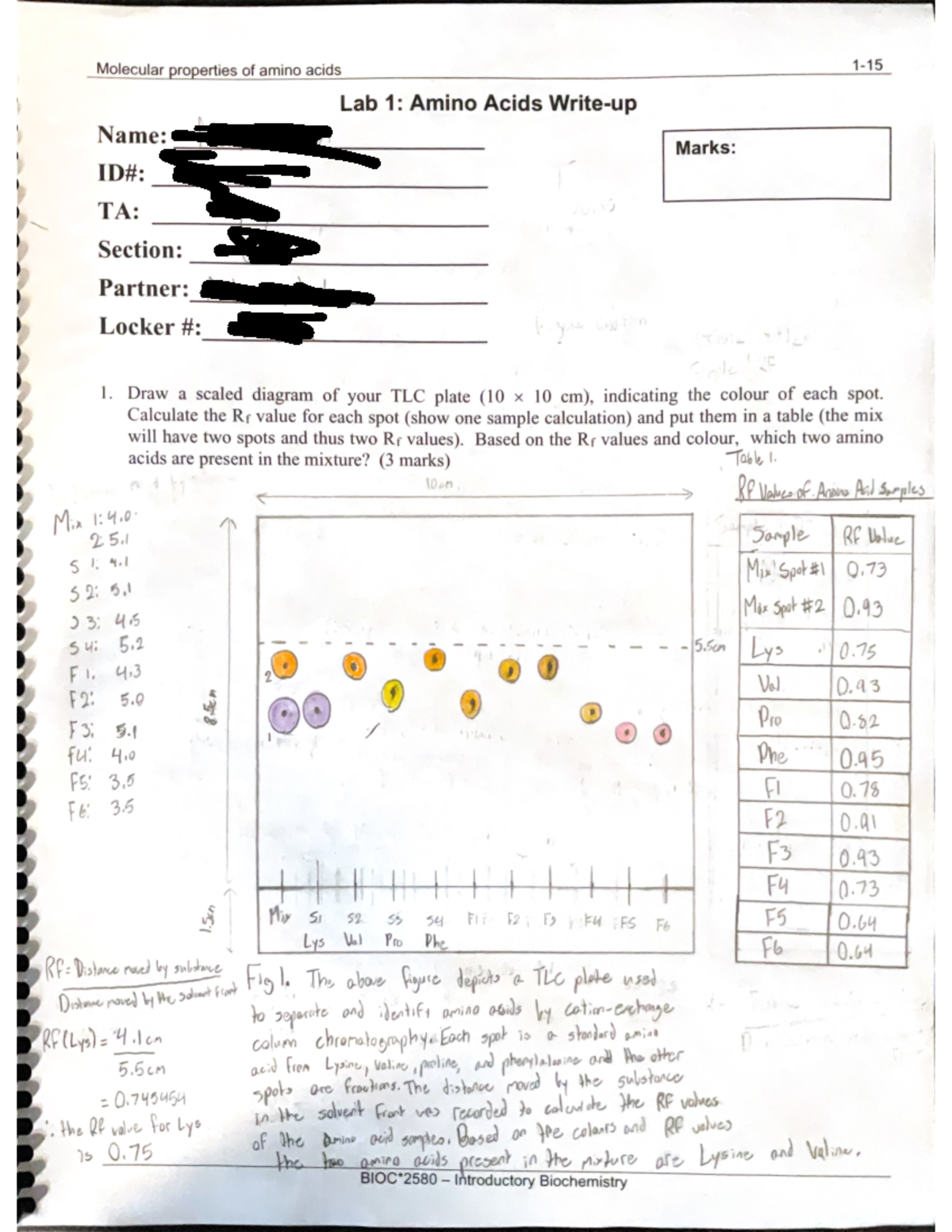 BIOC 2580 Lab #1 Write up - Molecular properties of amino acids 1- Lab ...
