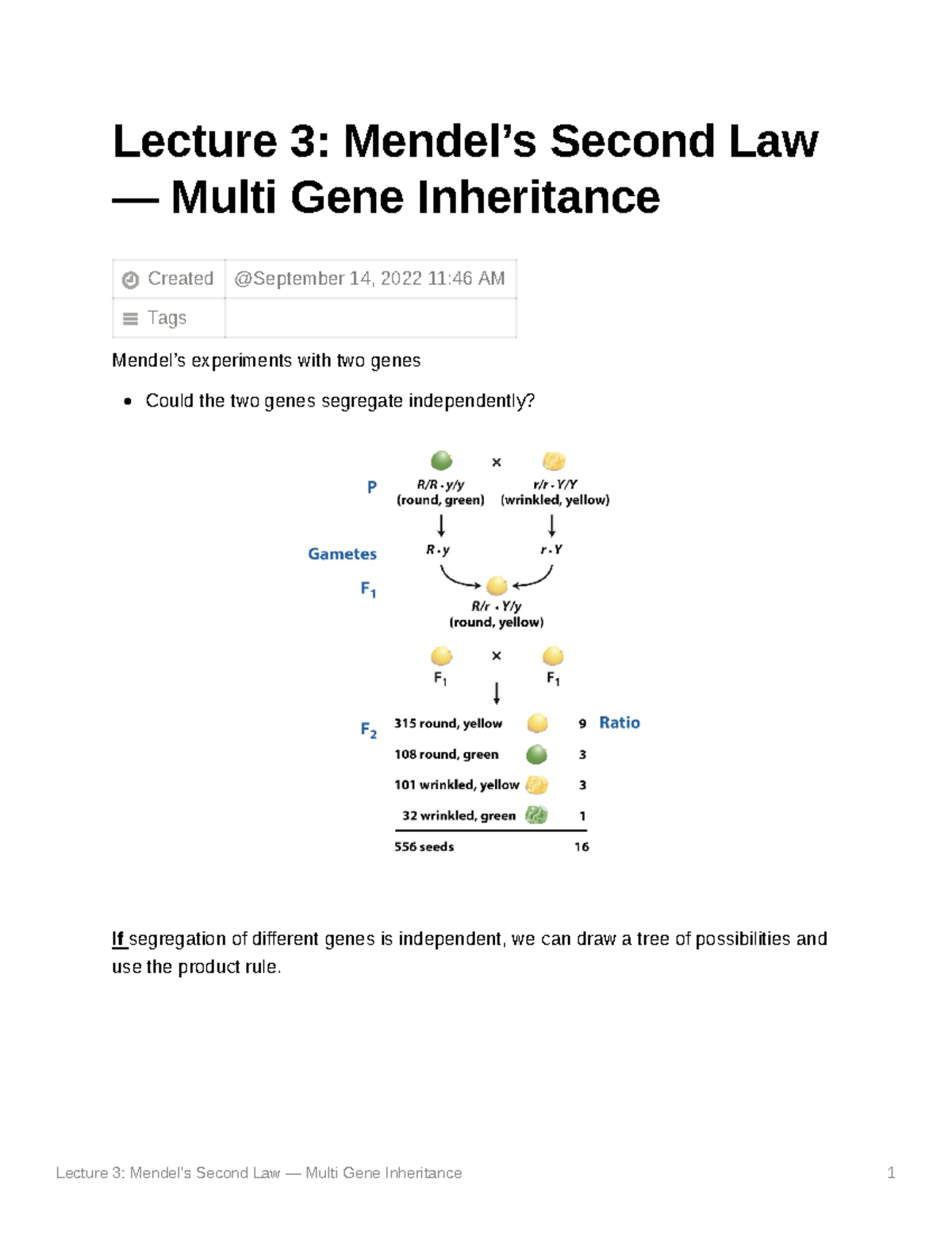 Lecture 3: Mendel’s Second Law — Multi Gene Inheritance - Lecture 3 ...