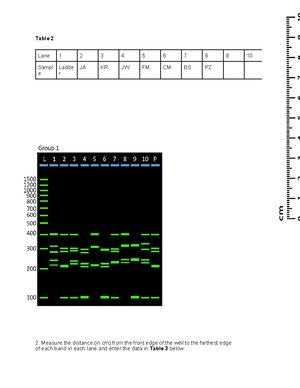 Lab Report Results-Vertebrates - Comparative Vertebrate Anatomy By Dru ...