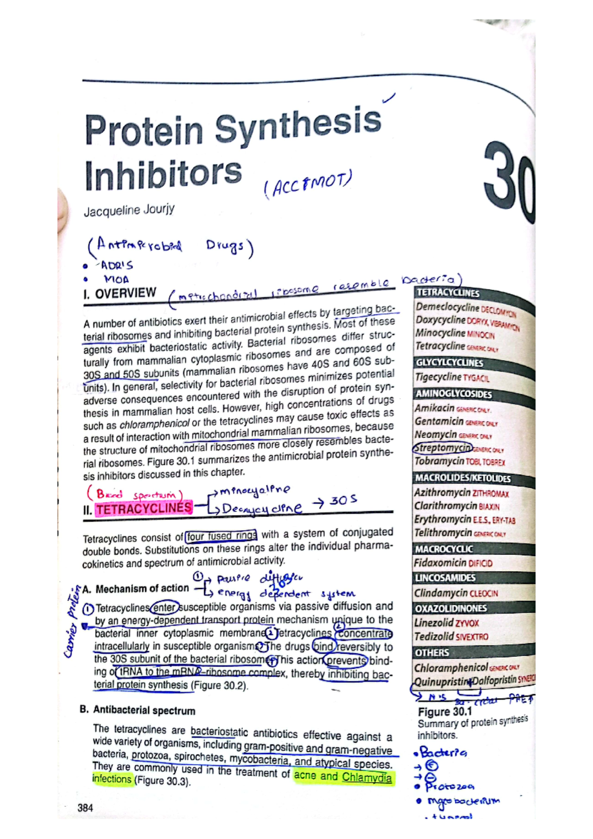 Lippincott pharmacology - Protein Synthesis Inhibitors Jacqueline ...