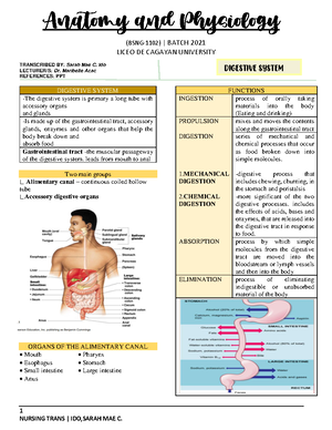 Anaphy Diagrams - NOT AFFILIATED - BODY DIRECTIONAL TERMS Right ...
