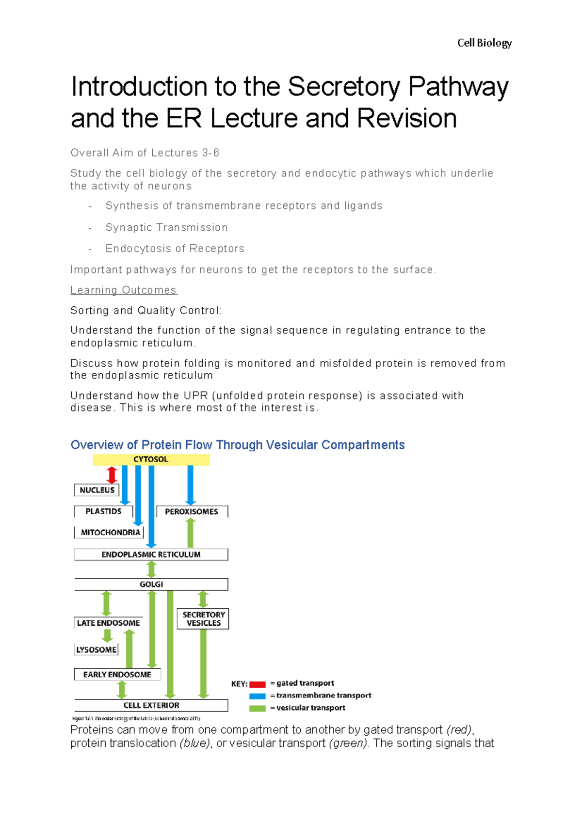 Introduction to the Secretory Pathway and the ER Lecture and Revision ...