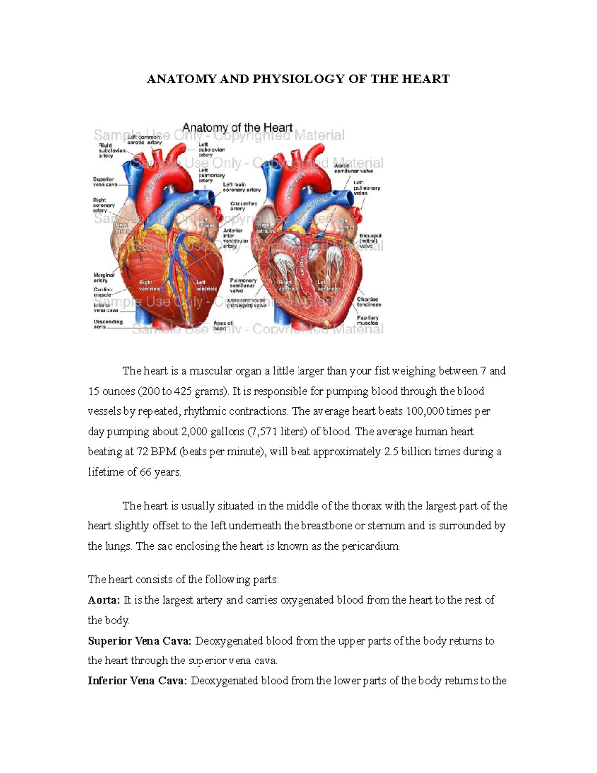 A AND P Heart NOTE - ANATOMY AND PHYSIOLOGY OF THE HEART The heart is a ...