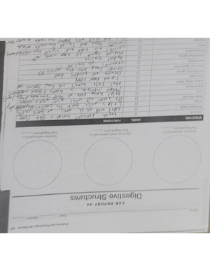 Summative WOOPs - a summation - Directions: Create three meaningful ...