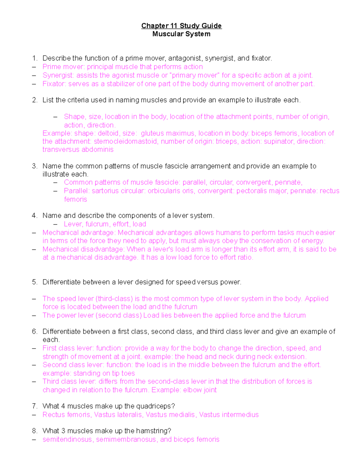 Muscular system Study Guide - Chapter 11 Study Guide Muscular System 1 ...