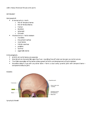 W1 Practical Worksheet (Skull) Student 2023-2 - ANAT3004/3904 – Cranial ...