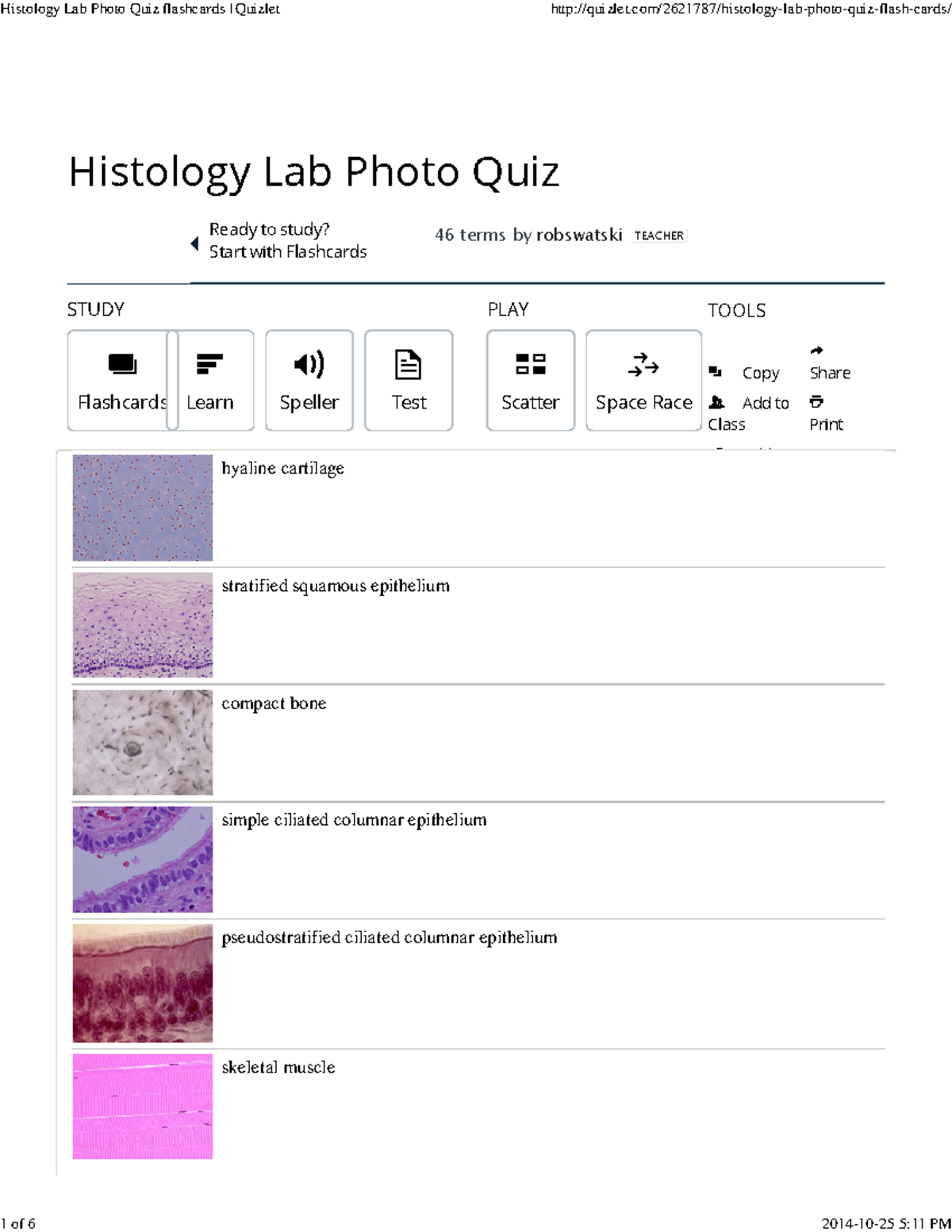 Histology Lab Photo Quiz flashcards Quizlet - Ready to study? Start ...