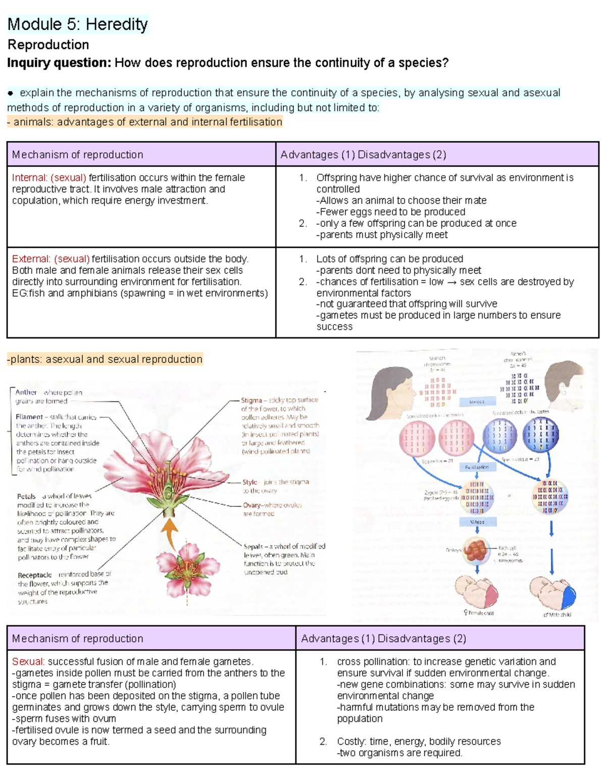 Biology Module 5 - Module 5: Heredity Reproduction Inquiry question ...