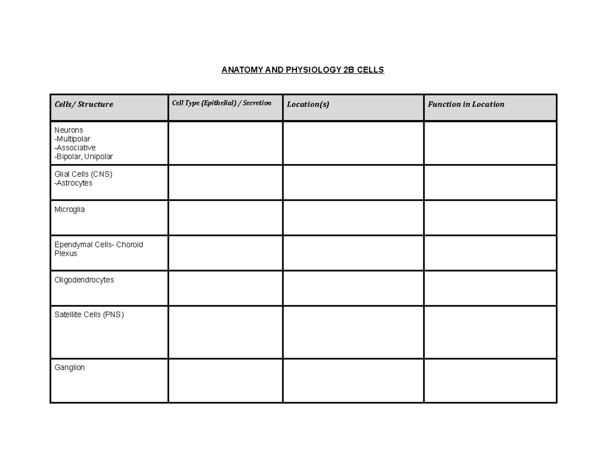 2 Bcellsblank - Template - ANATOMY AND PHYSIOLOGY 2B CELLS Cells ...