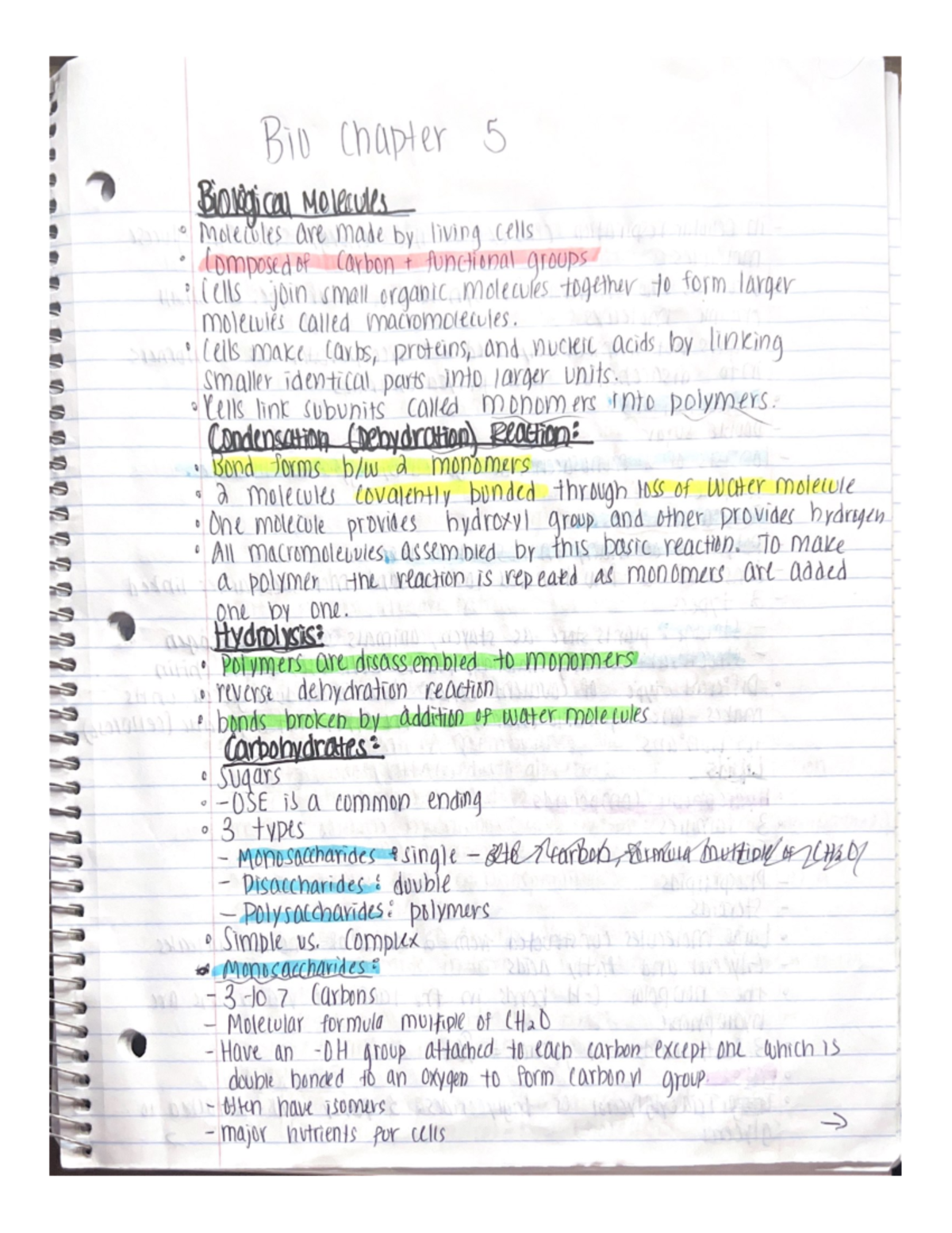 Biology Chapter 5 - BSC 114 - Studocu