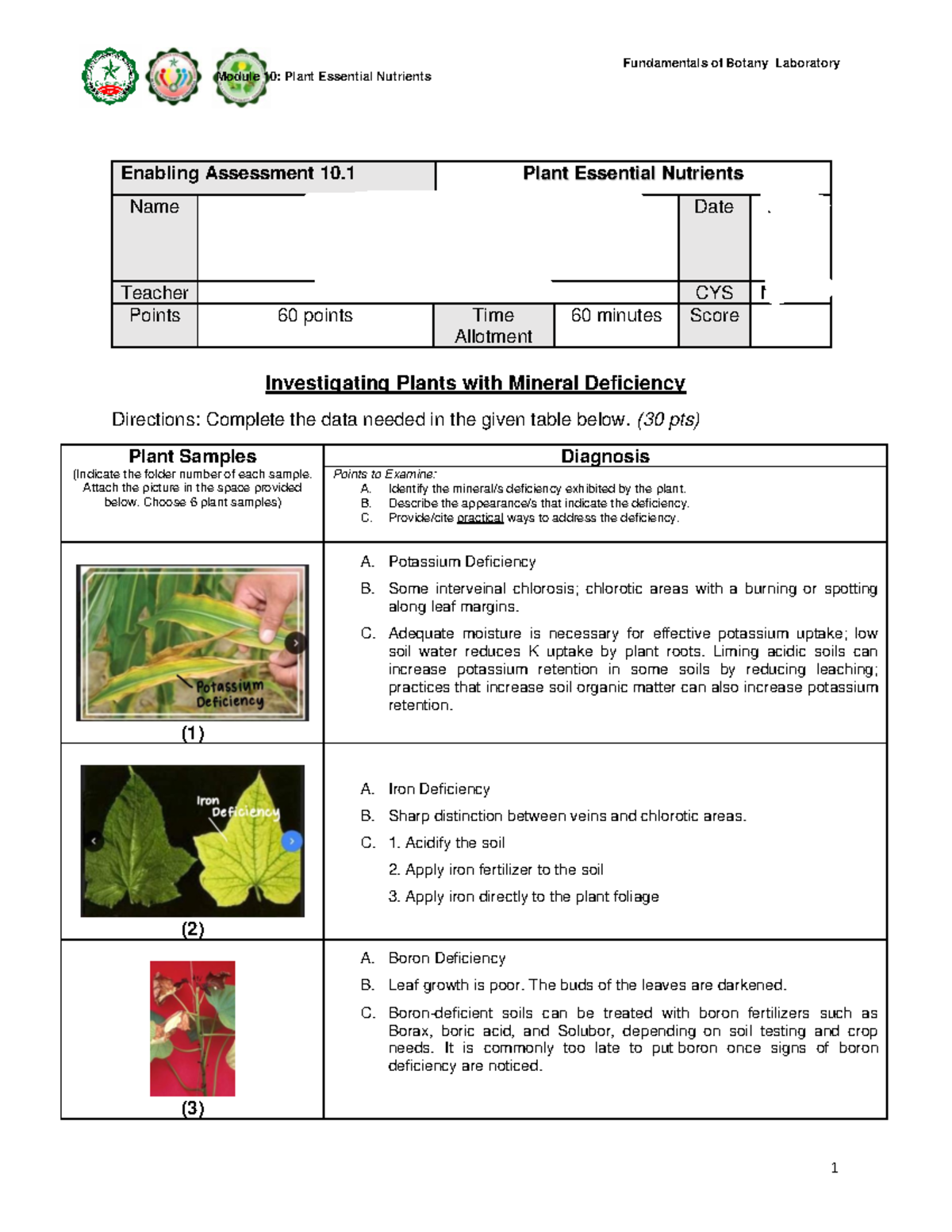 Module 10-Plant Essential Nutrients Worksheet - Module 10: Plant ...