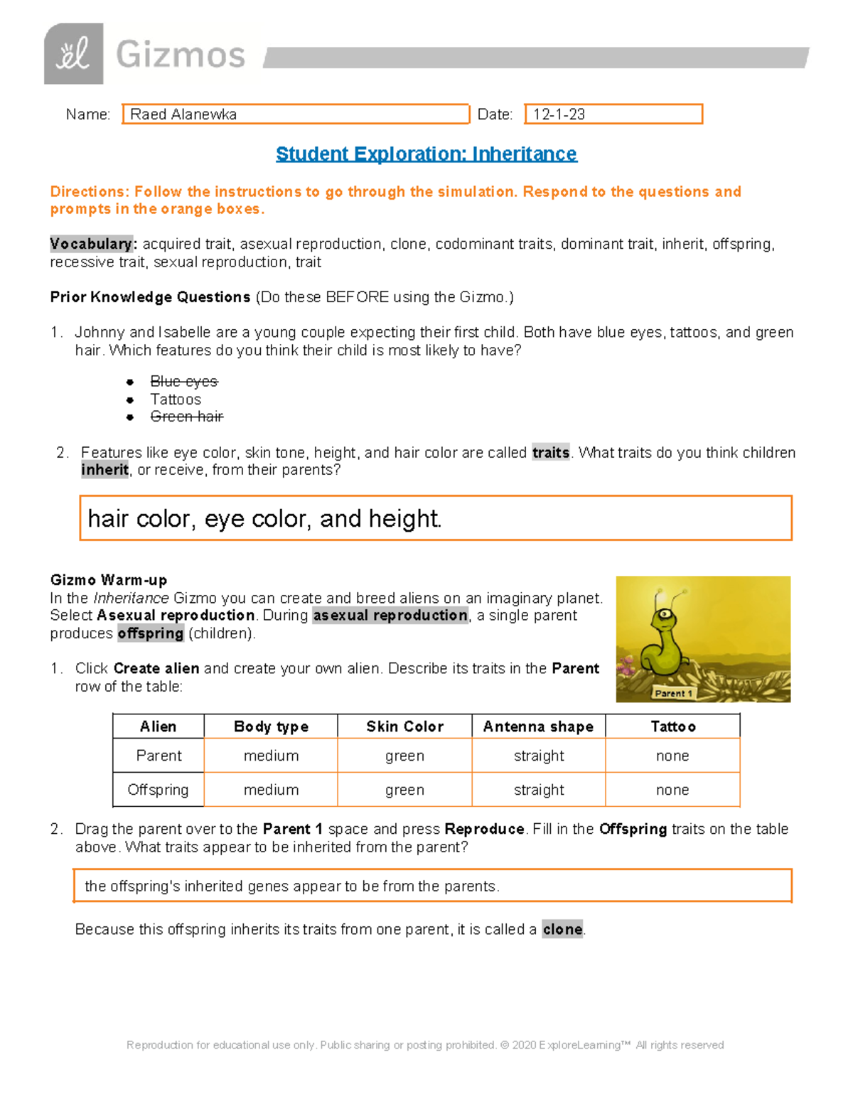 Raed Alanewka - Gizmo - Inheritance Investigation - 18259582 - Name ...