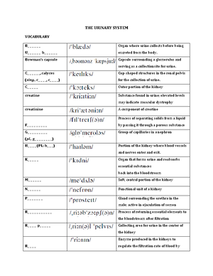 (answer sheet) Nervous System Exhibition Stations KEY - © 2015 Vanessa ...