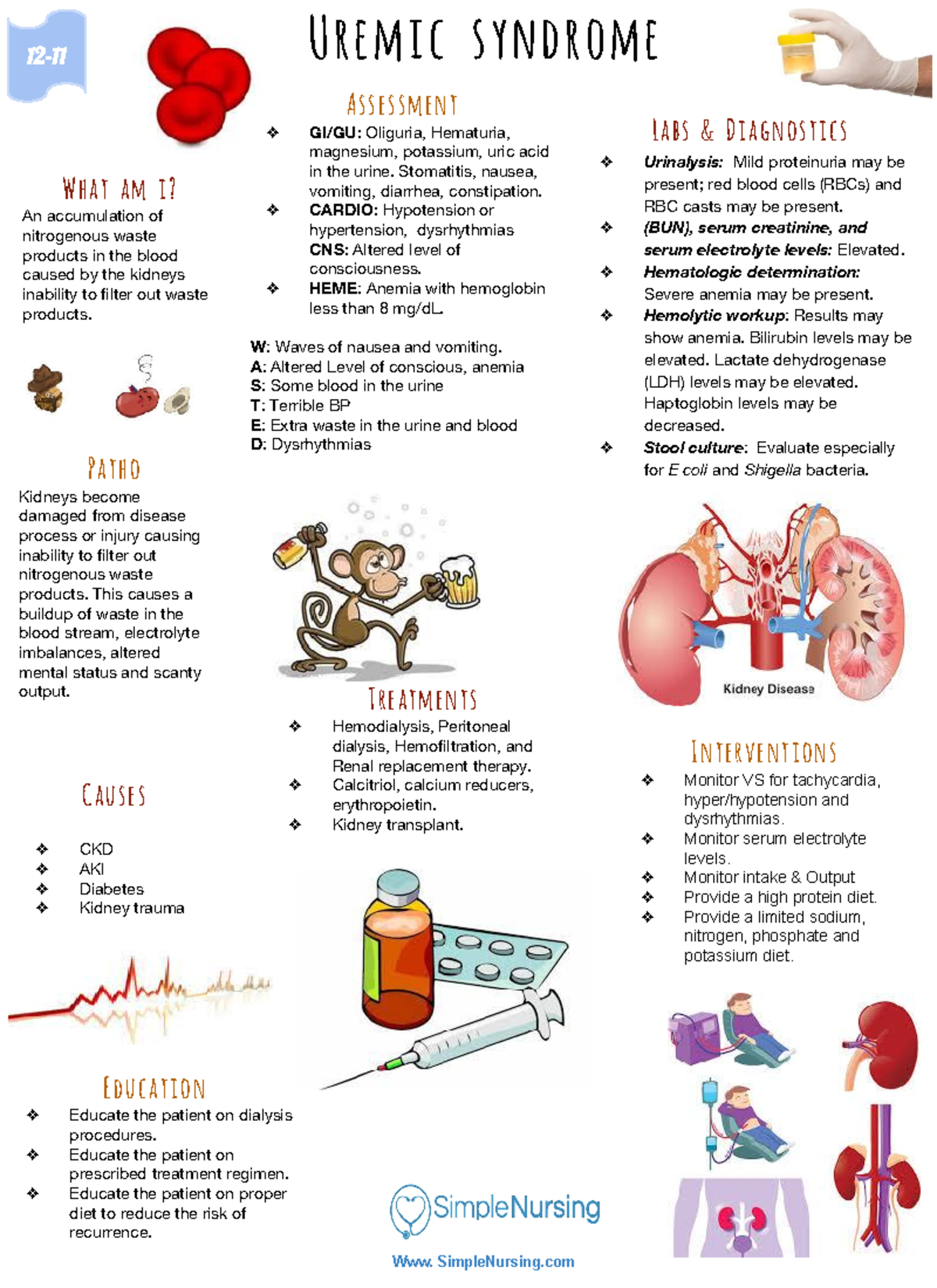 Uremic Syndrome - med surg notes - 12-11 Uremic syndrome Www ...
