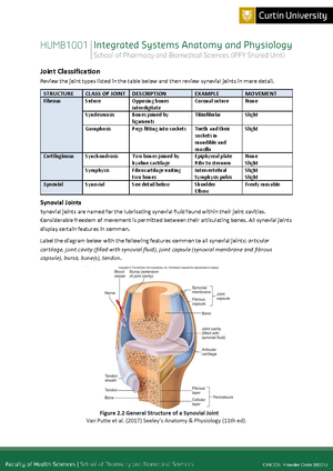 Module 3 Major Muscles of the Body Answers - Major Muscles of the Body ...