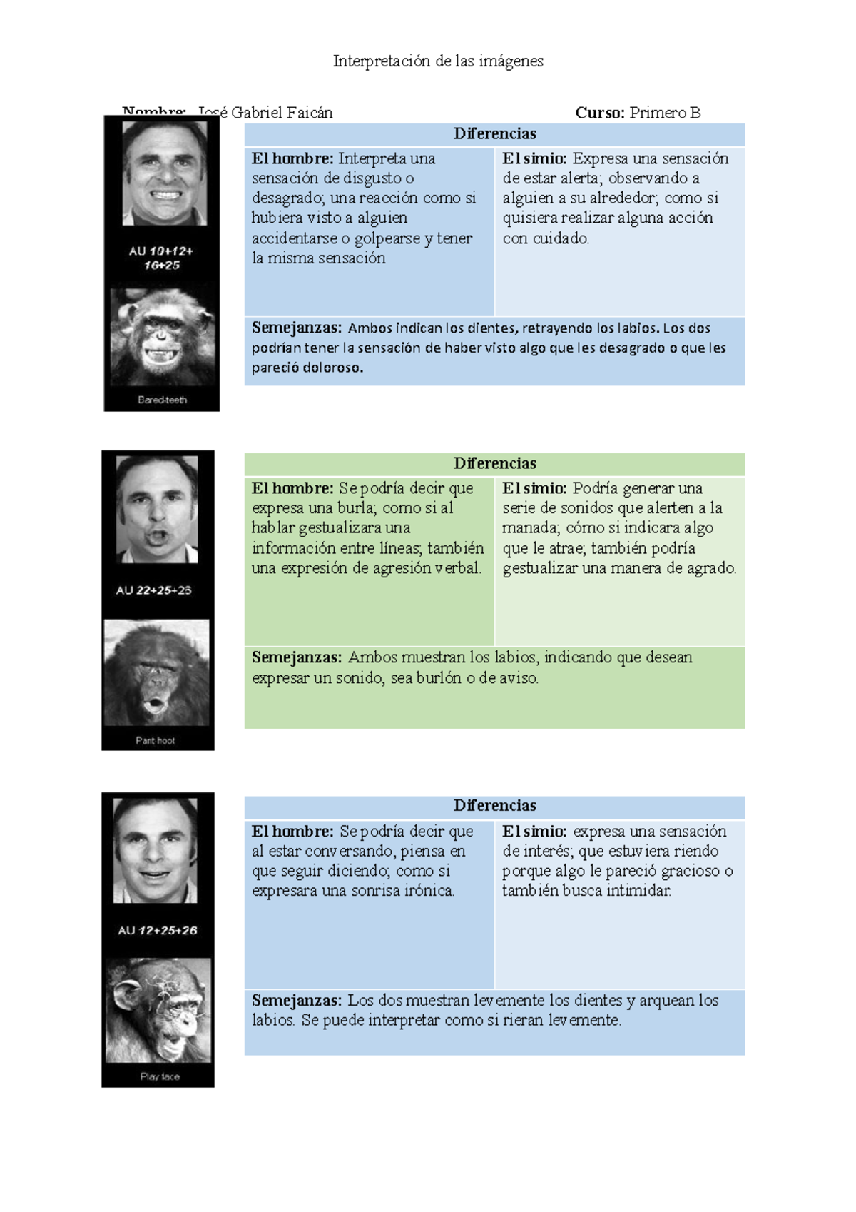 Interpretación de imágenes - Interpretación de las imágenes Nombre ...