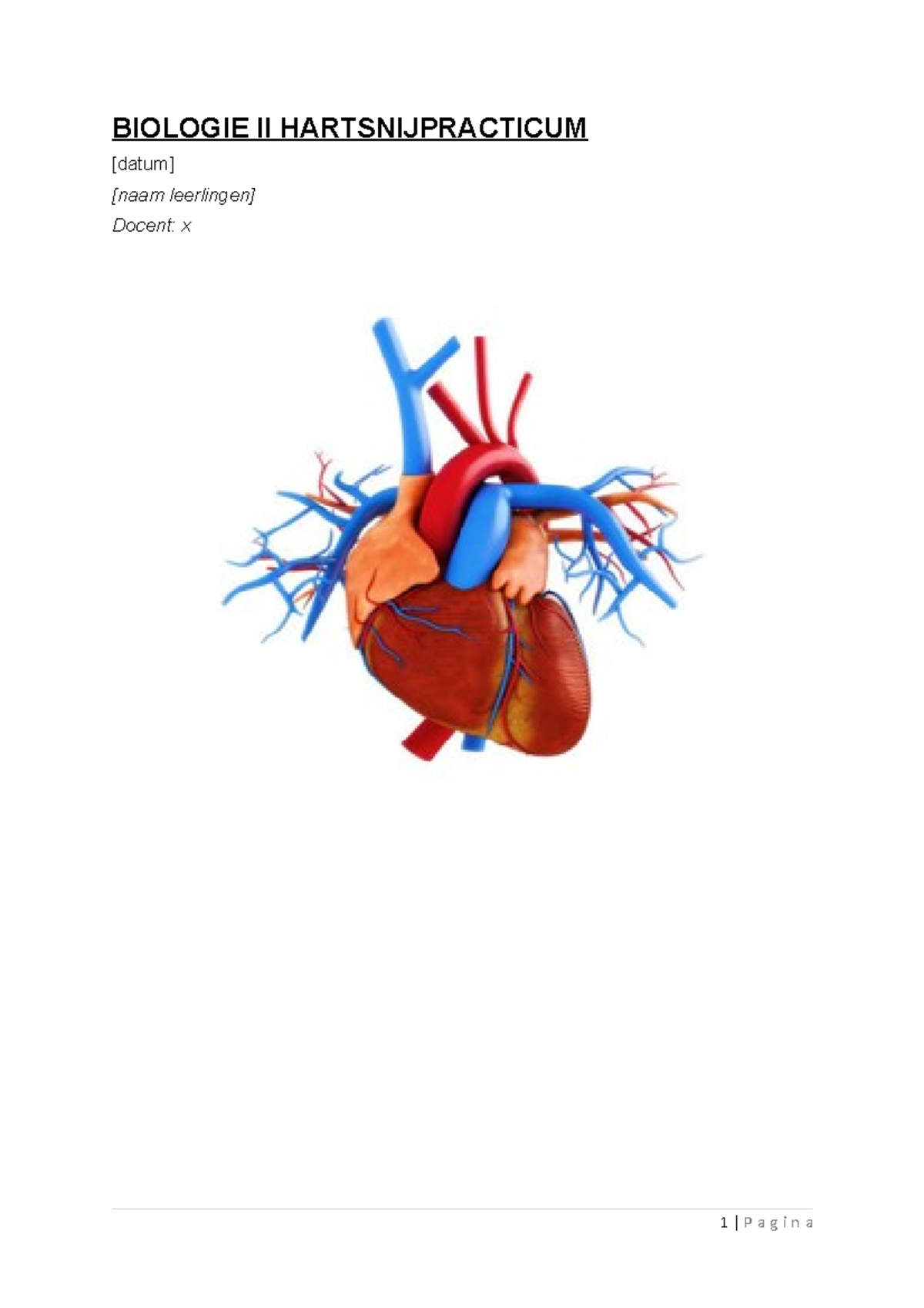 Hartpracticum Biologie Nectar VWO 5 - BIOLOGIE ll HARTSNIJPRACTICUM ...