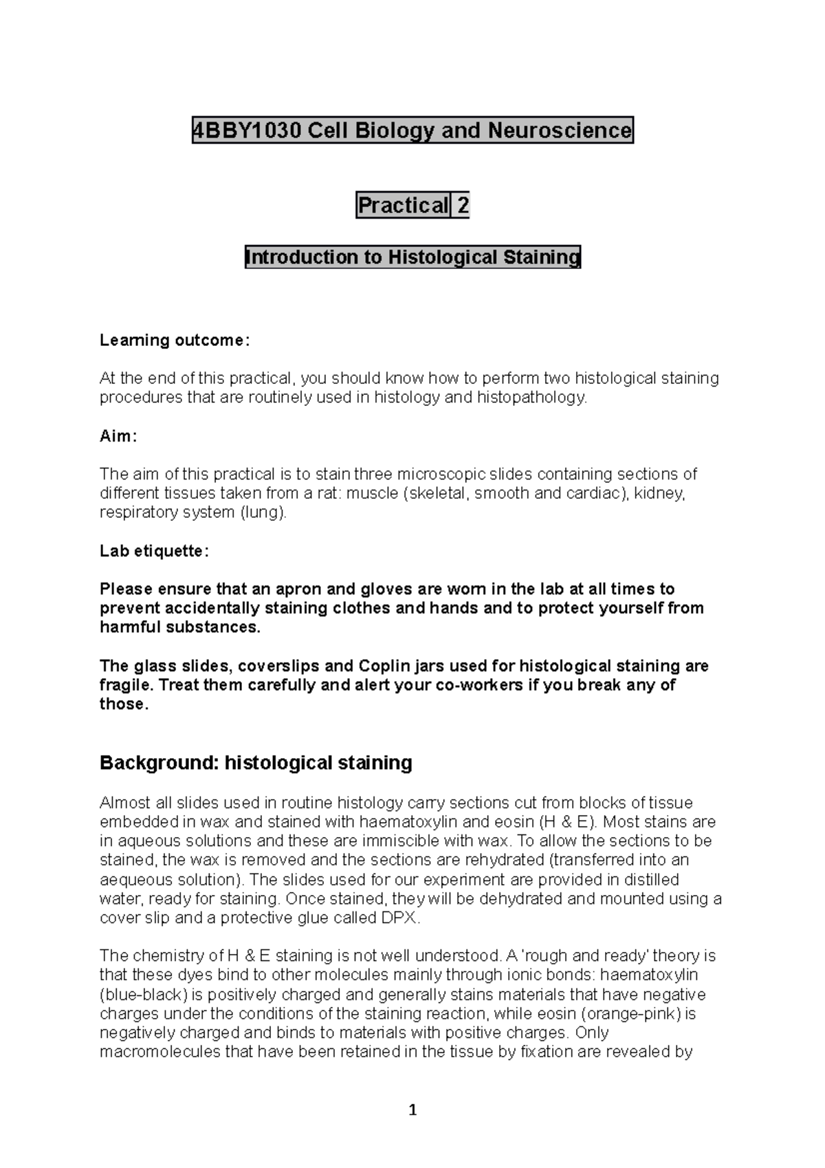 4BBY1030 Protocol Practical 2 - 4BBY1030 - KCL - Studocu