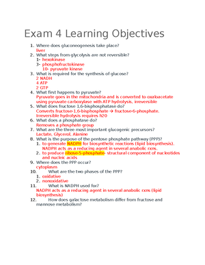 Exam 3 Learning Objectives - Exam 3 Learning Objectives How does an ...