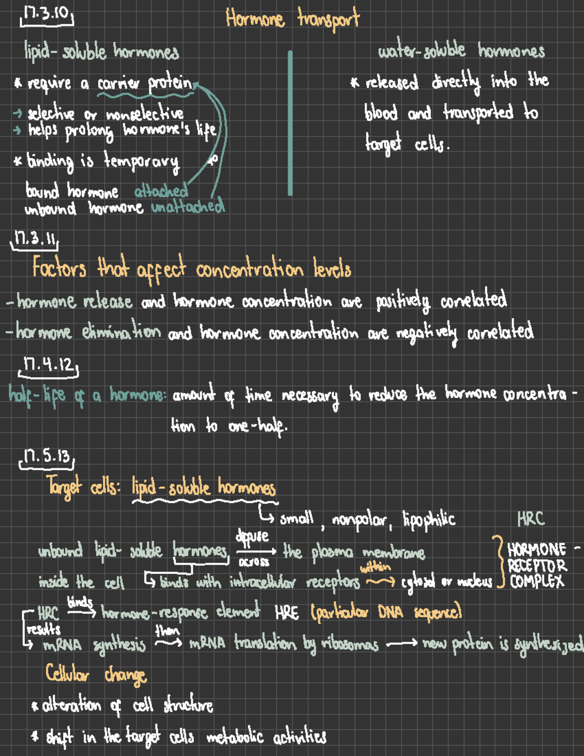 Chapter 17 - Endocrine System - 173 Hormone transport lipid - soluble ...