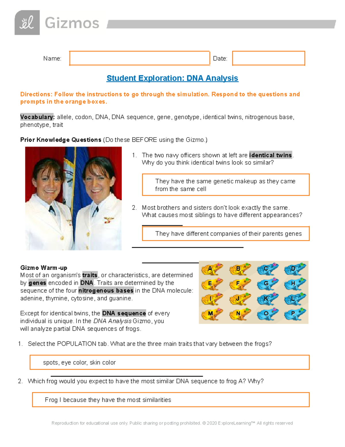 DNAAnalysis SE - DNA Analysis - Name: Date: Student Exploration: DNA ...