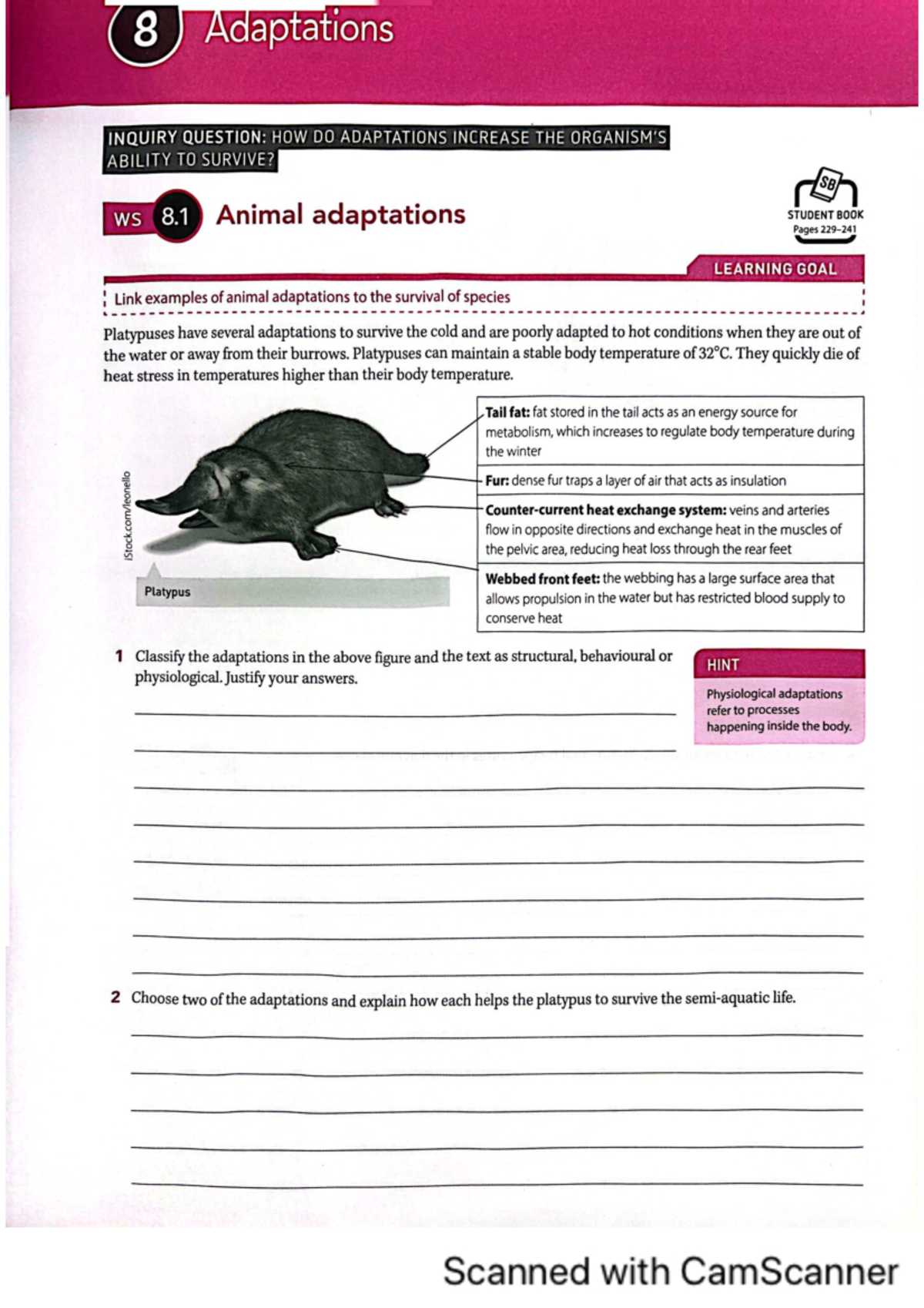 Animal Adaptations - Practice Questions - Studocu
