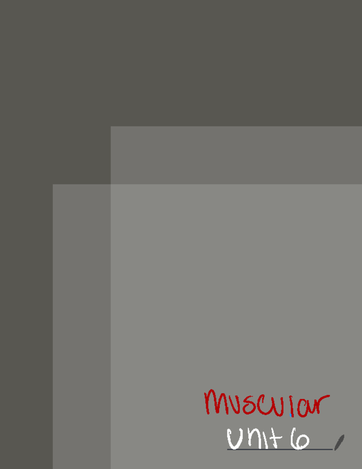 Unit 6 - Muscular system exss276 ondrak - muscular ↓ Uh 6 Functions ...