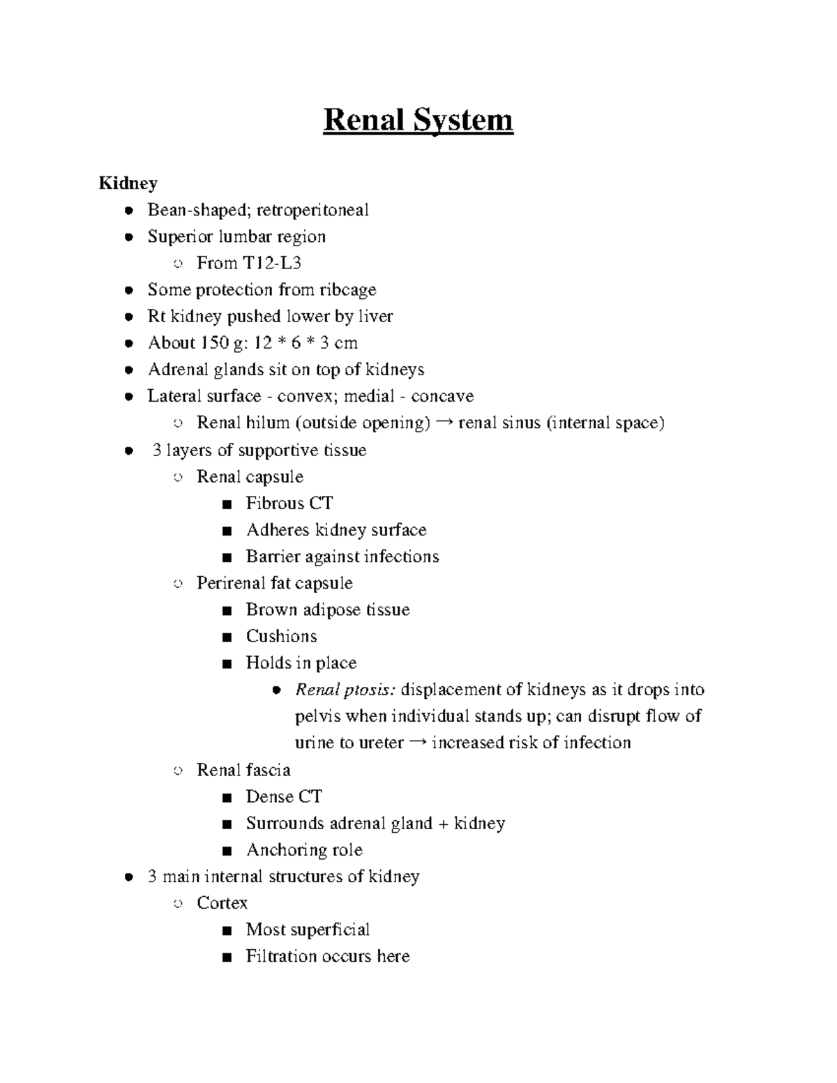 Renal System - Summary Human Anatomy and Physiology - Renal System ...