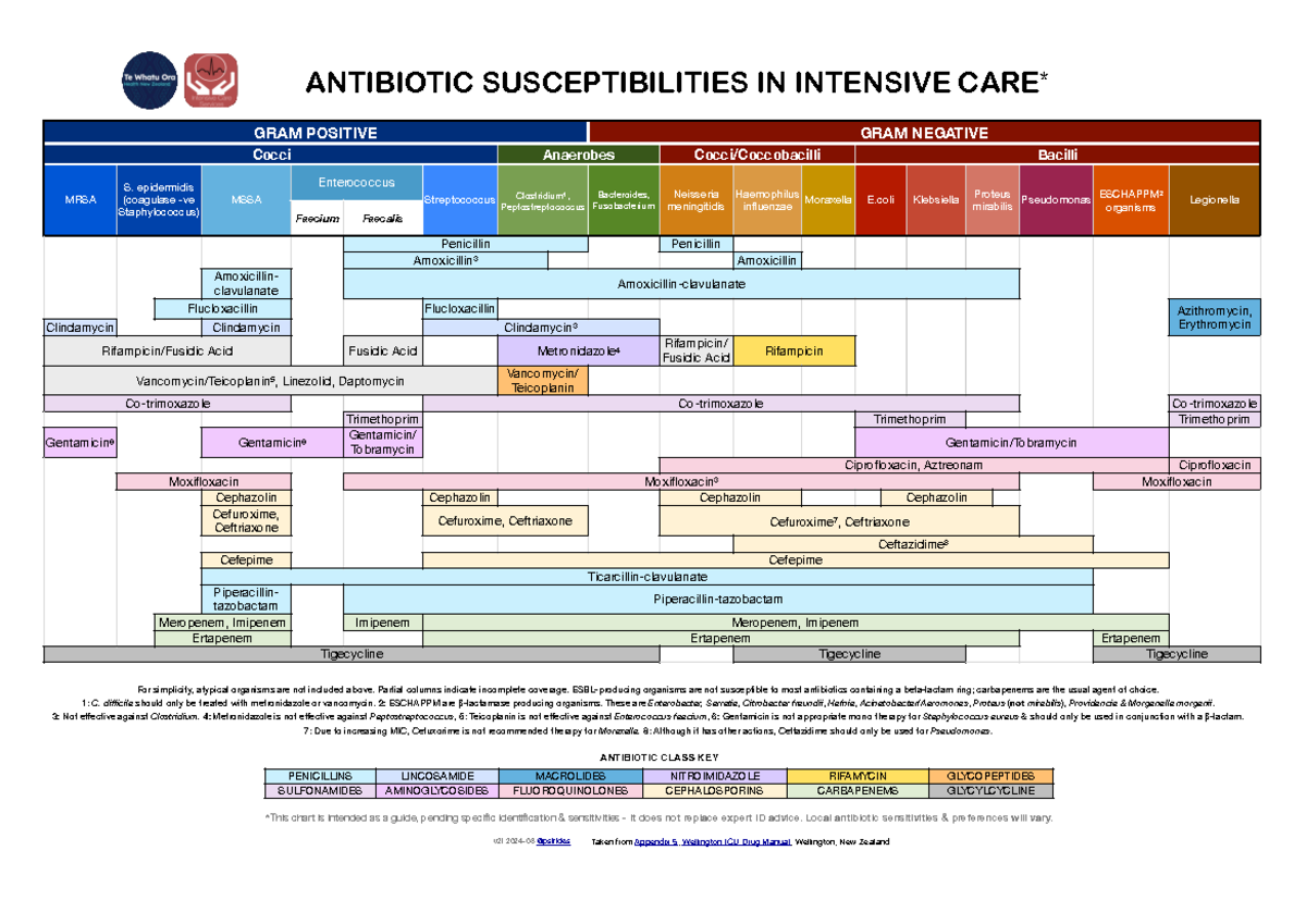 Antibióticos - GRAM POSITIVE GRAM NEGATIVE Cocci Anaerobes Cocci ...