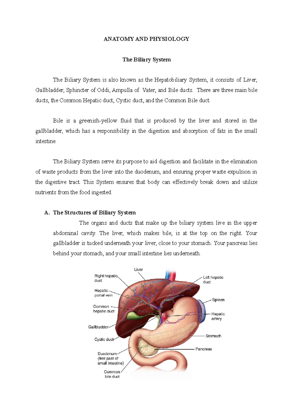 Pedia Anatomy AND Physiology - ANATOMY AND PHYSIOLOGY The Biliary ...
