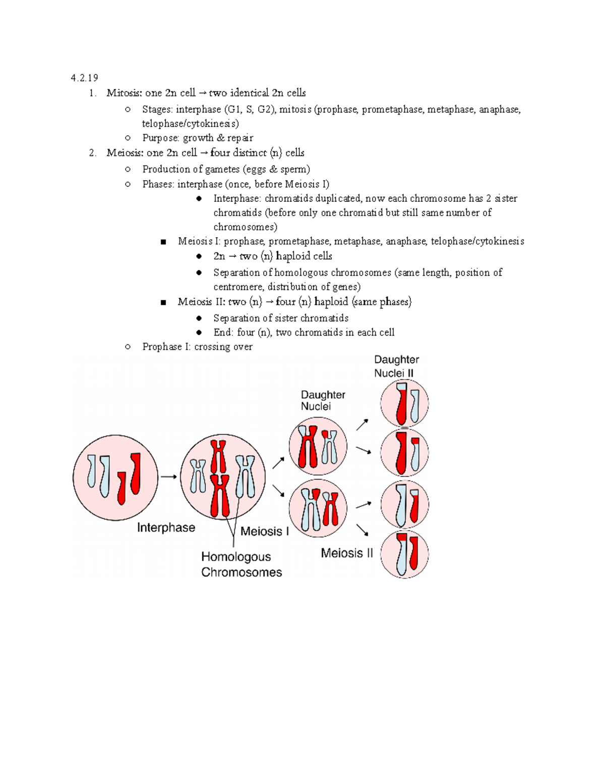 Mitosis and meiosis - Genomes and evolution lecture notes - 4. Mitosis ...