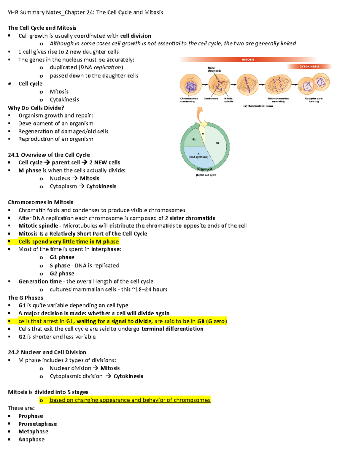 Chapter 24 cell biology lecture notes - YHR Summary Notes_Chapter 24 ...
