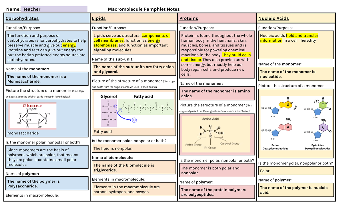 3.9 Answers for Biomolecule Brochure note taking eckenrode - Name ...