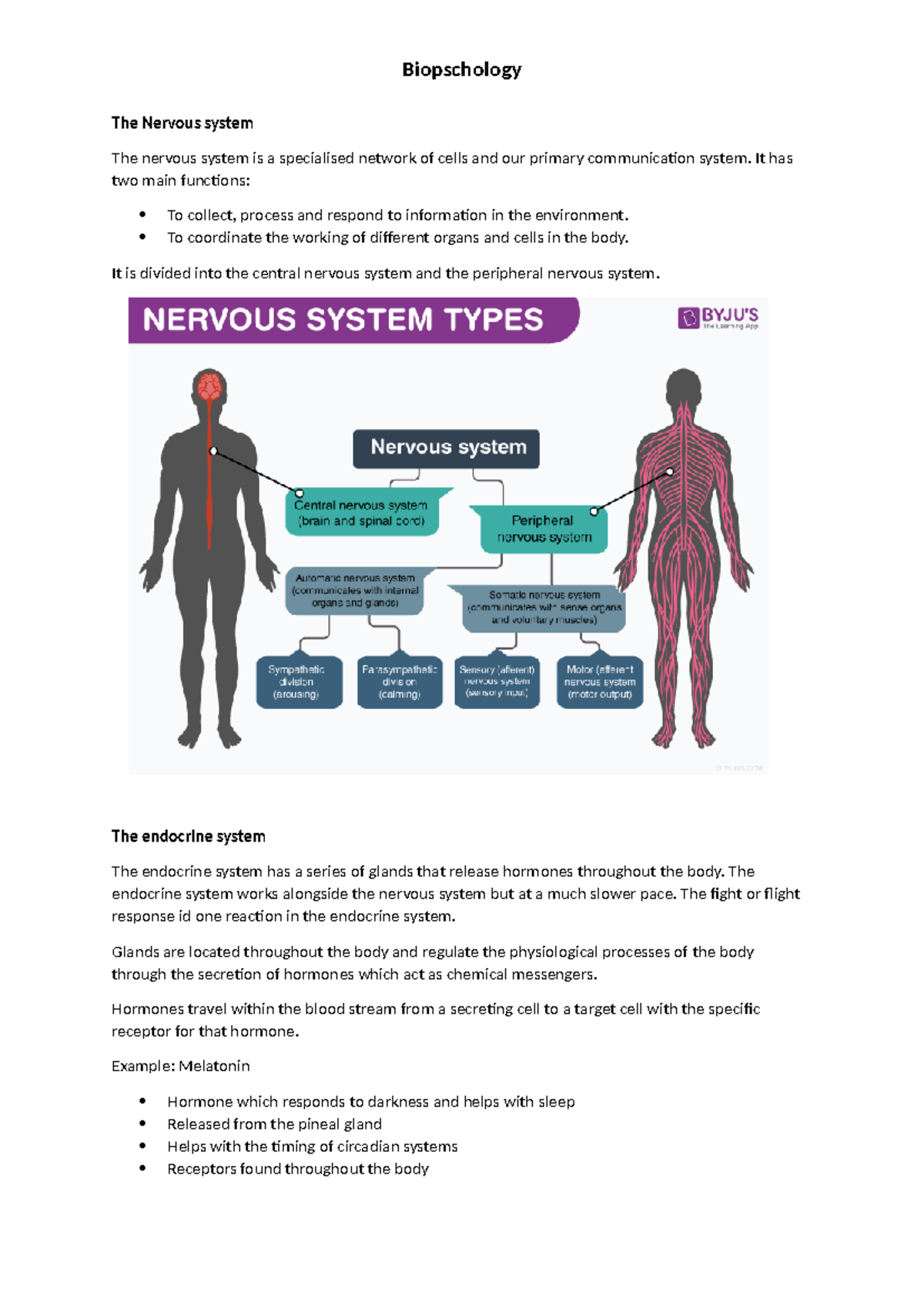 Biopsychology notes - The Nervous system The nervous system is a ...