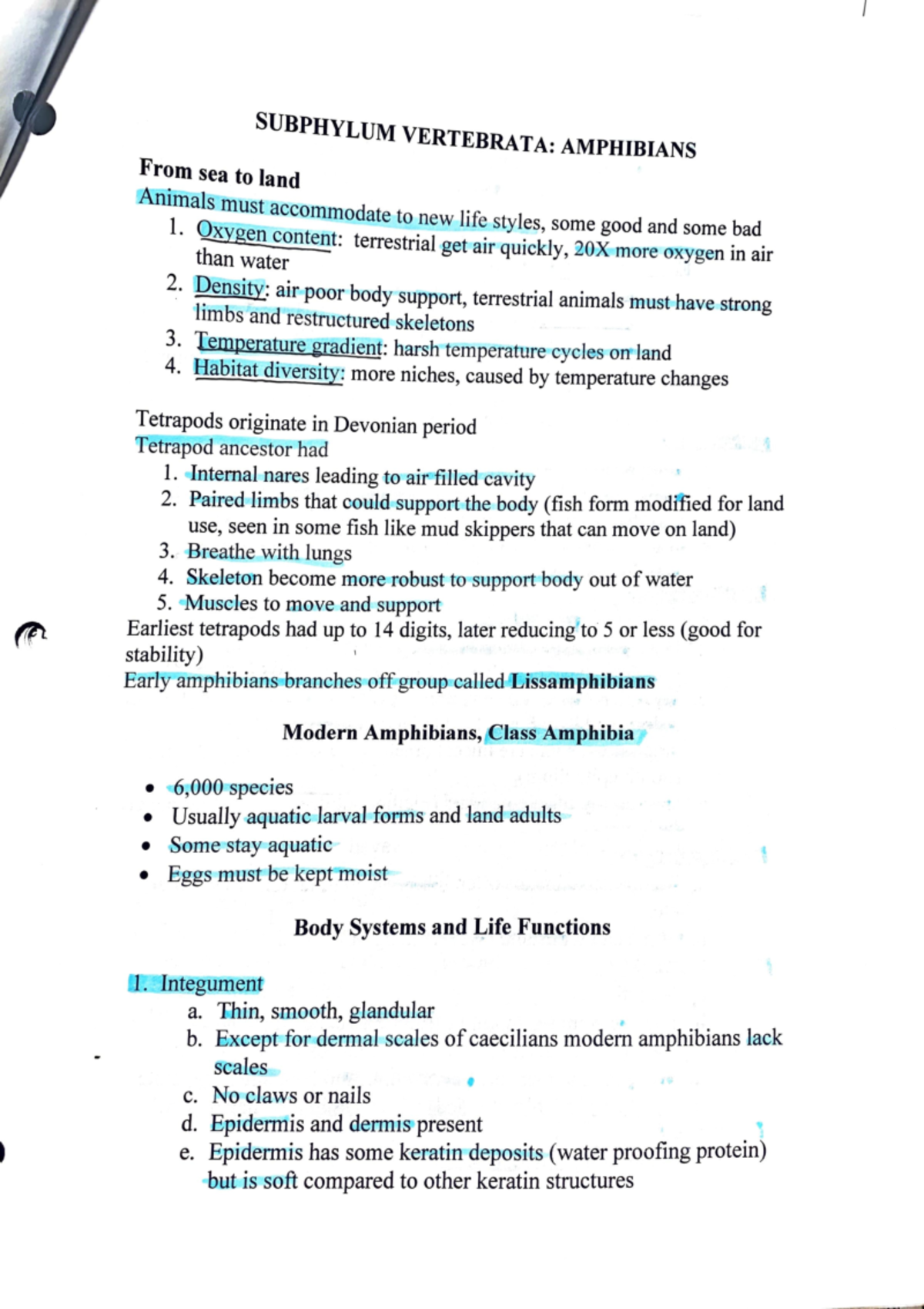 Zoology BIOL-1413 Subphylum Vertebrata (Amphibians) - SUBPHYLUM ...