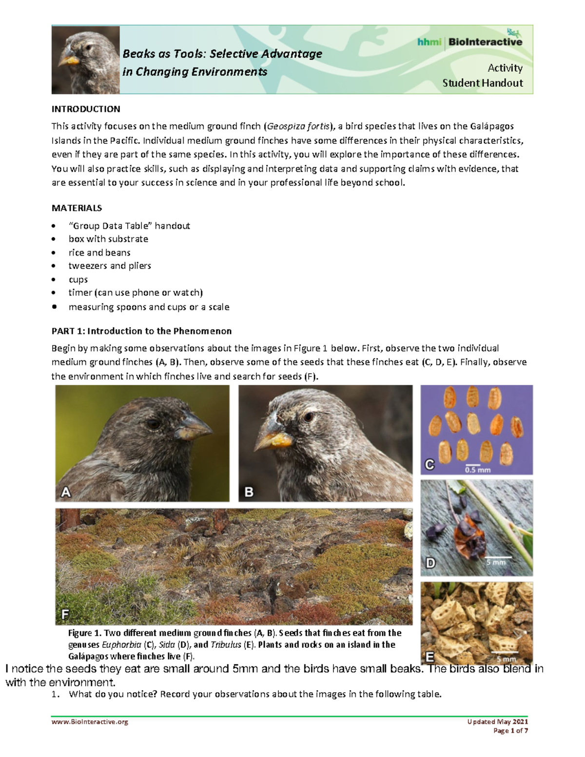 Beaks As Tools-Student HO-act - BioInteractive Updated May 2021 ...