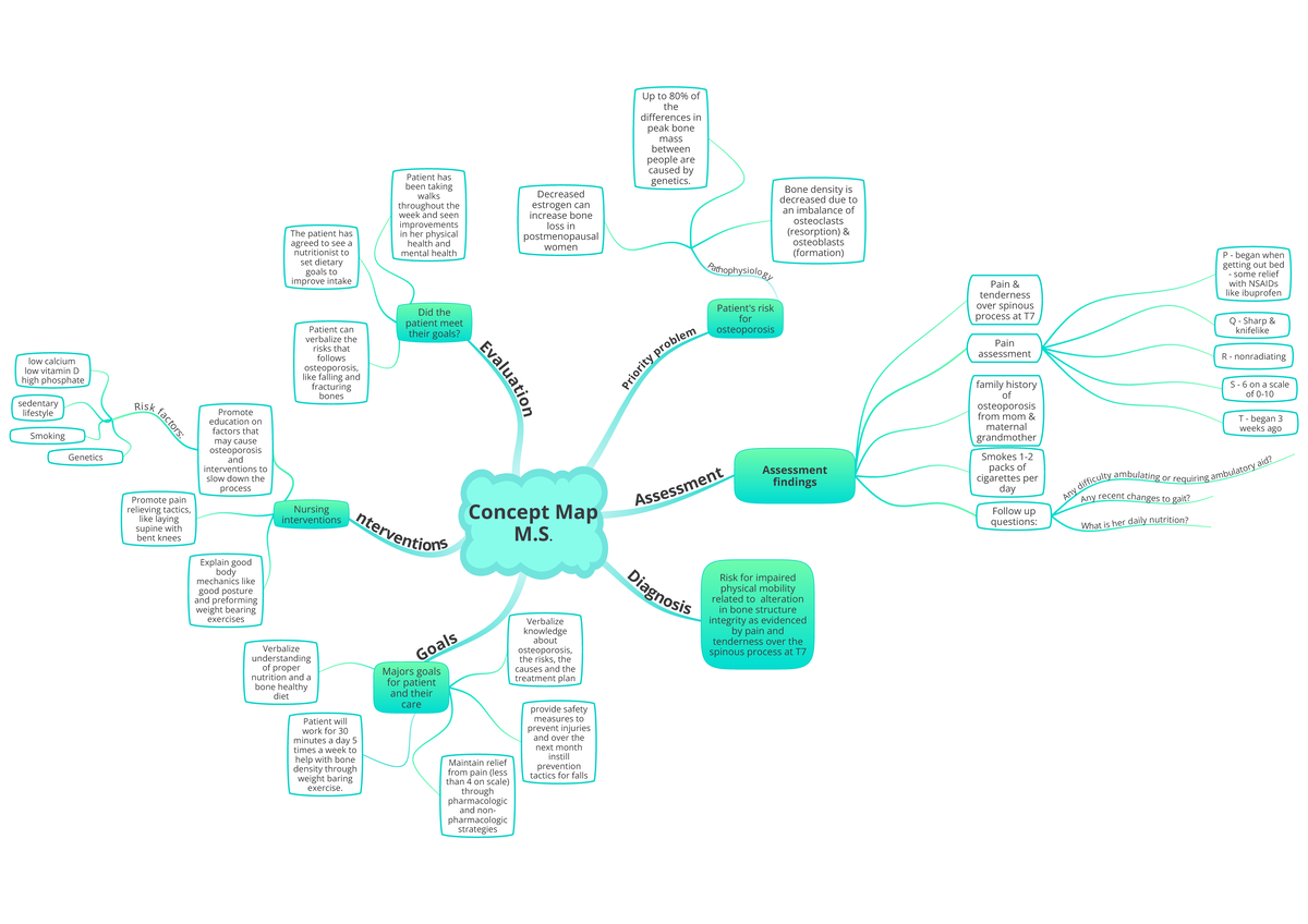 Concept-Map-MS - Concept map - E v a lu a t io Risk n fa ct o rs : n t ...