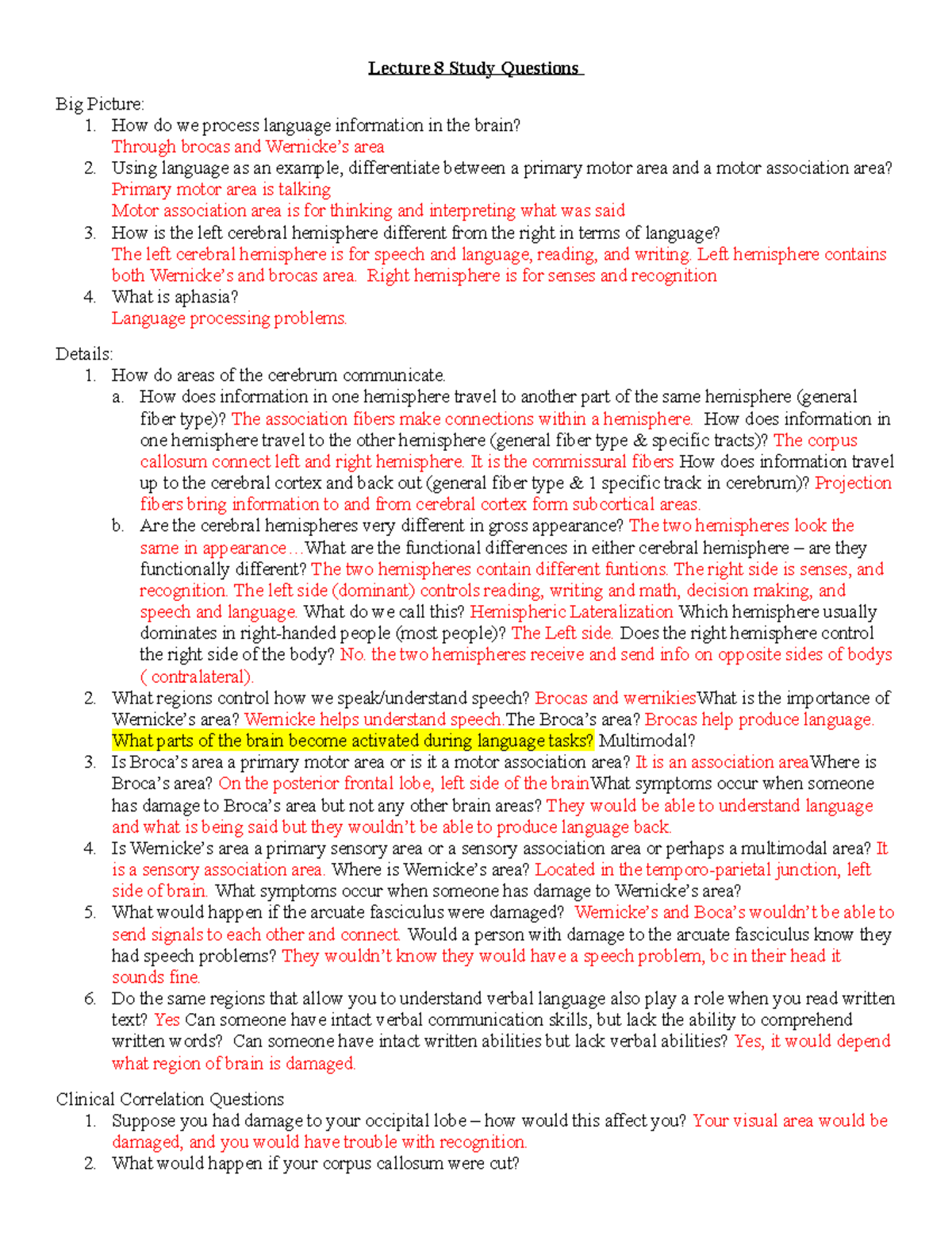 Lecture 8 Study Questions - Lecture 8 Study Questions Big Picture: 1 ...