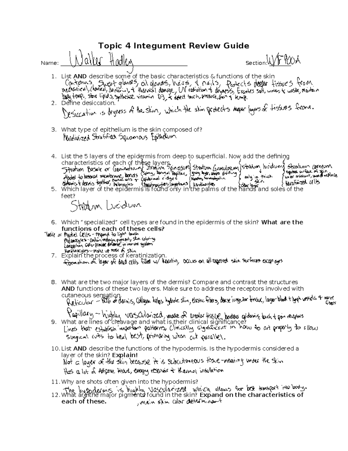 Integumentary System Review Guide - Topic 4 Integument Review Guide ...